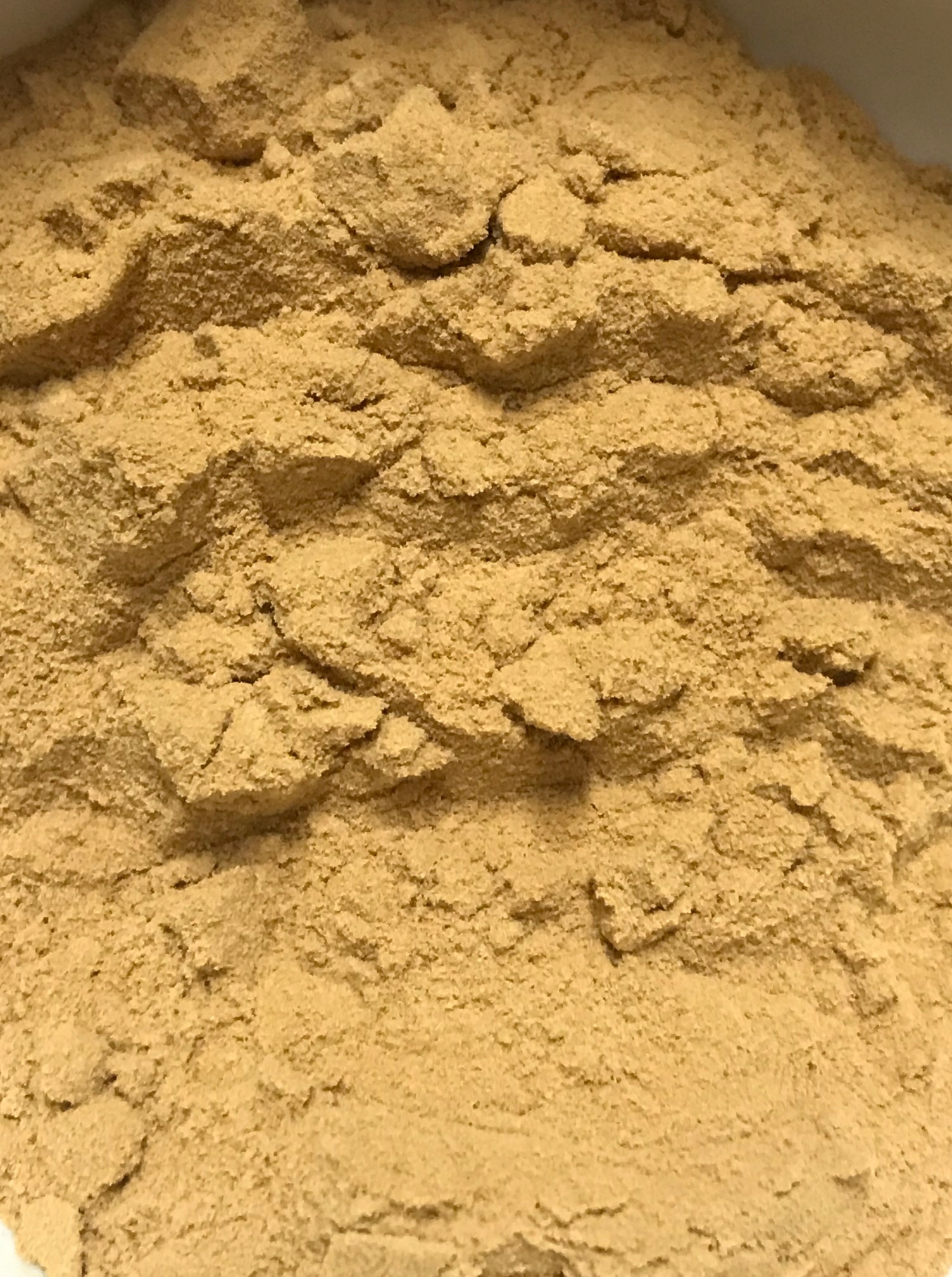 Lion’s Mane ORGANIC 15:1 Extract Powder | Customised Health Essentials