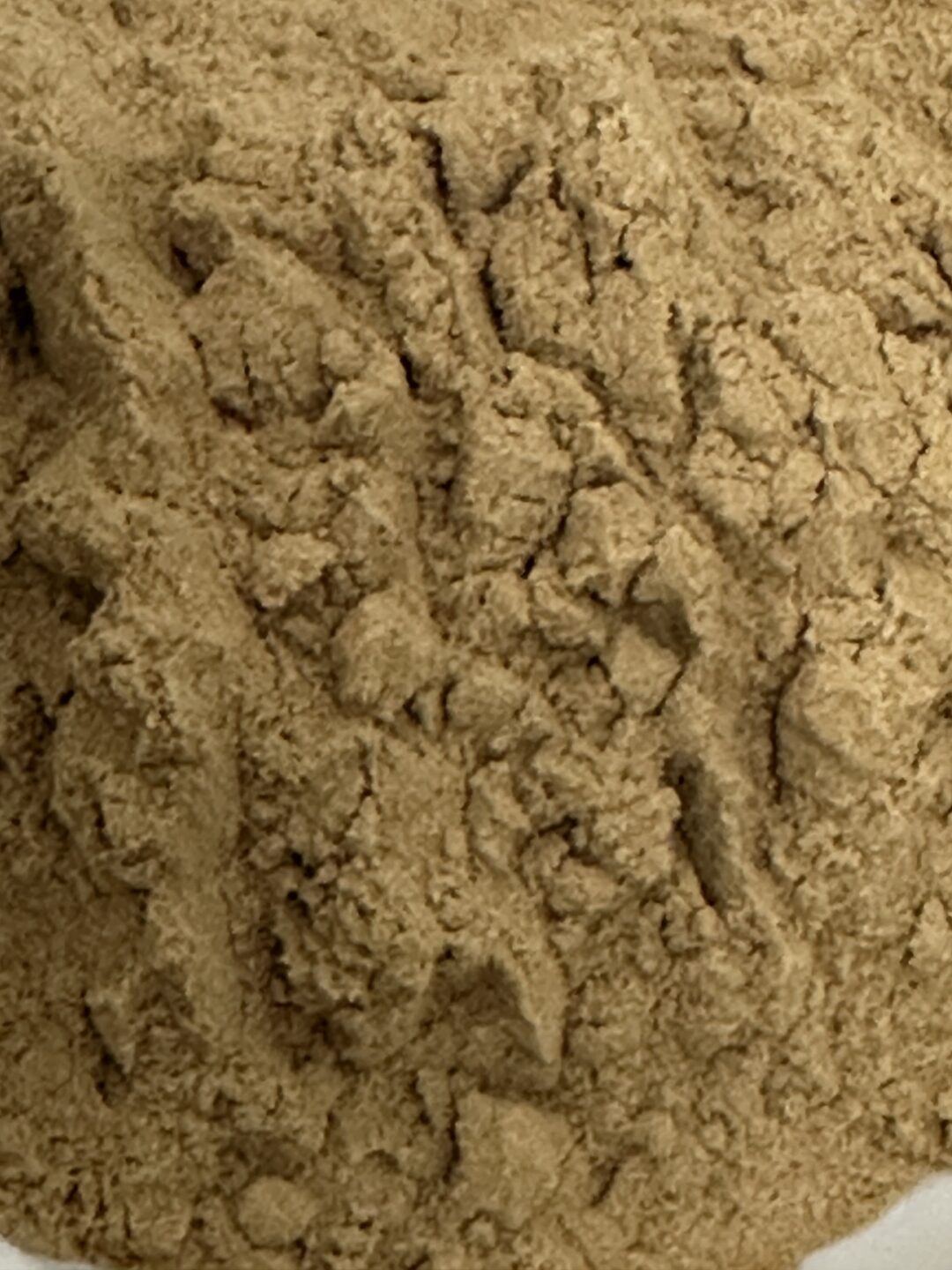 Poria Cocos 20:1 Extract Powder | Customised Health Essentials